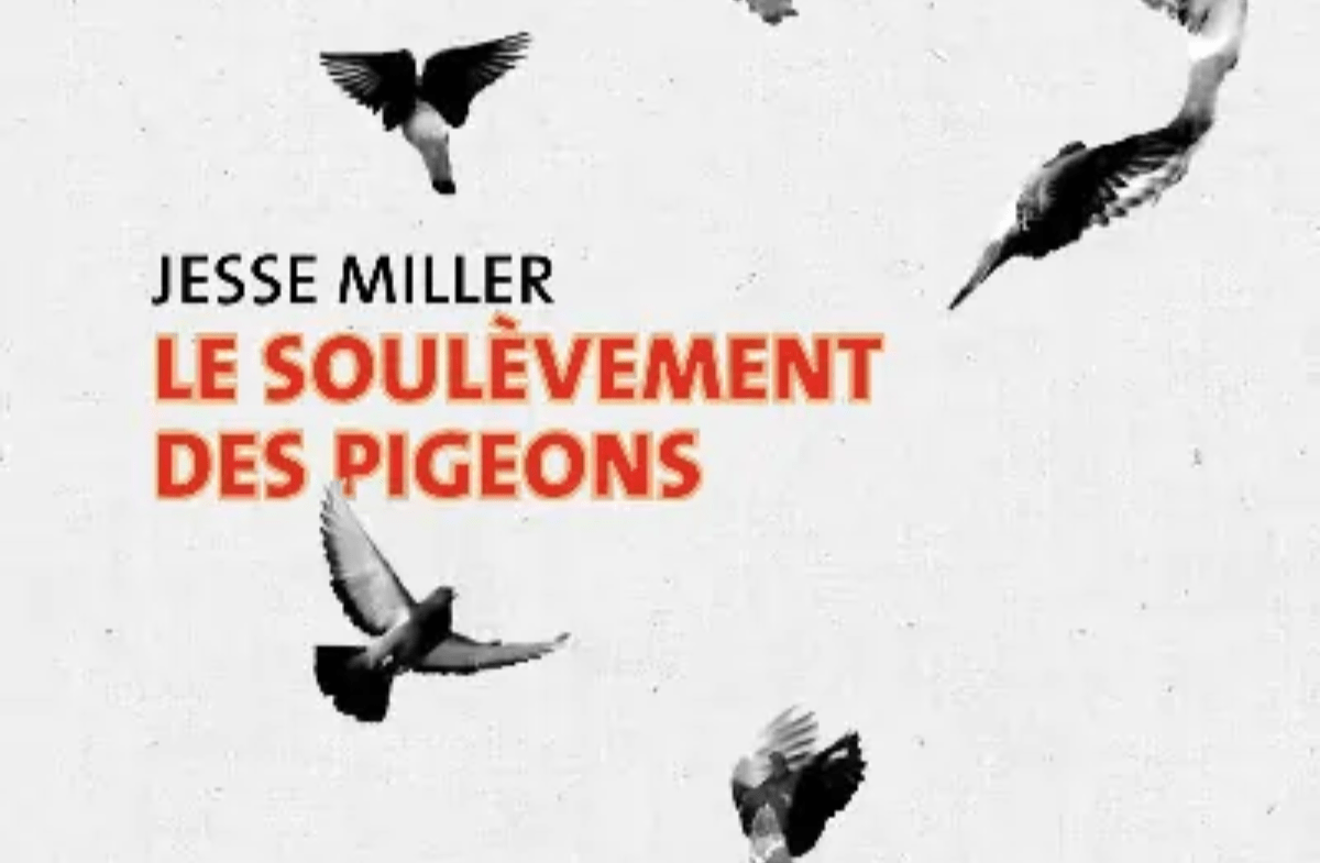 Jesse Miller - Le soulèvement des pigeons • Rainfolk's diaries